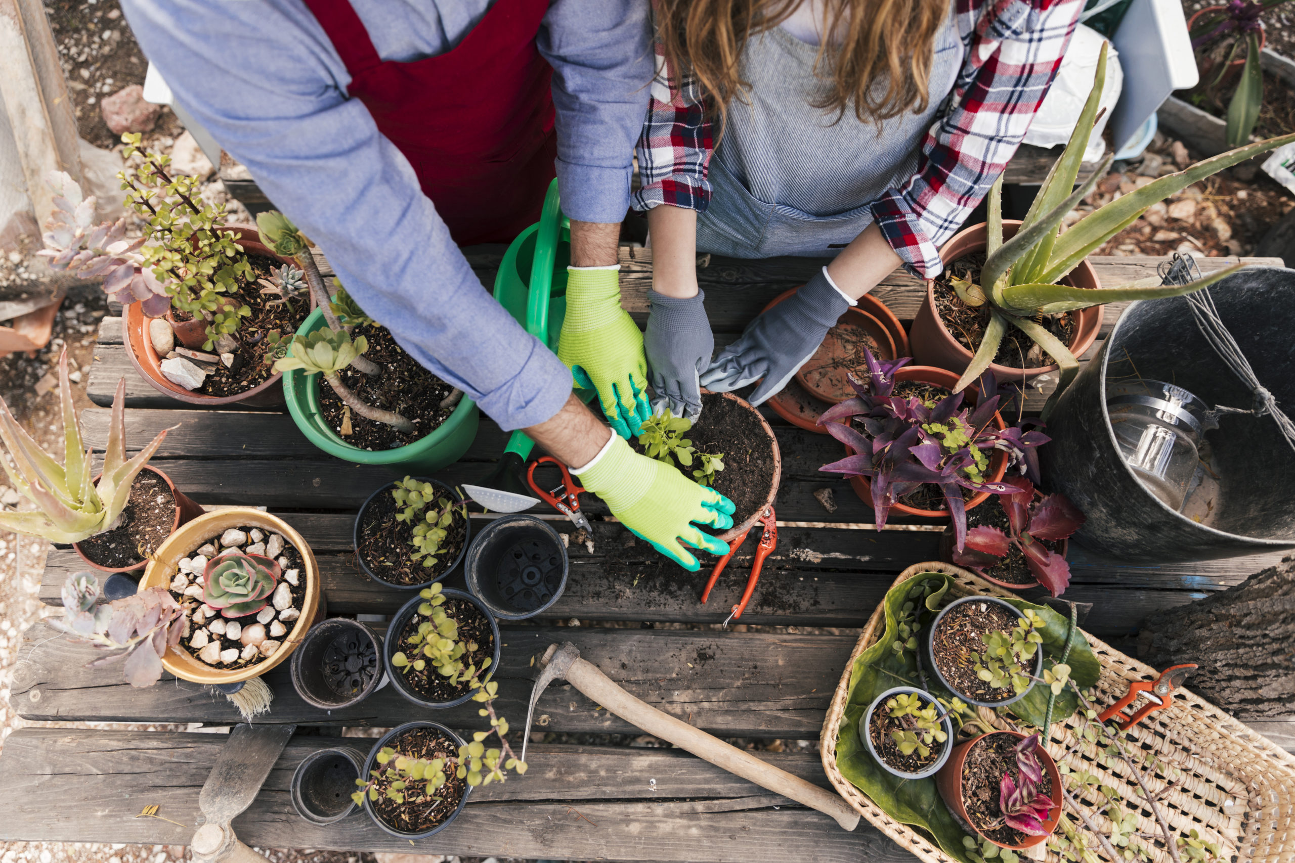 Conseils création potager d’entreprise - Chieze
